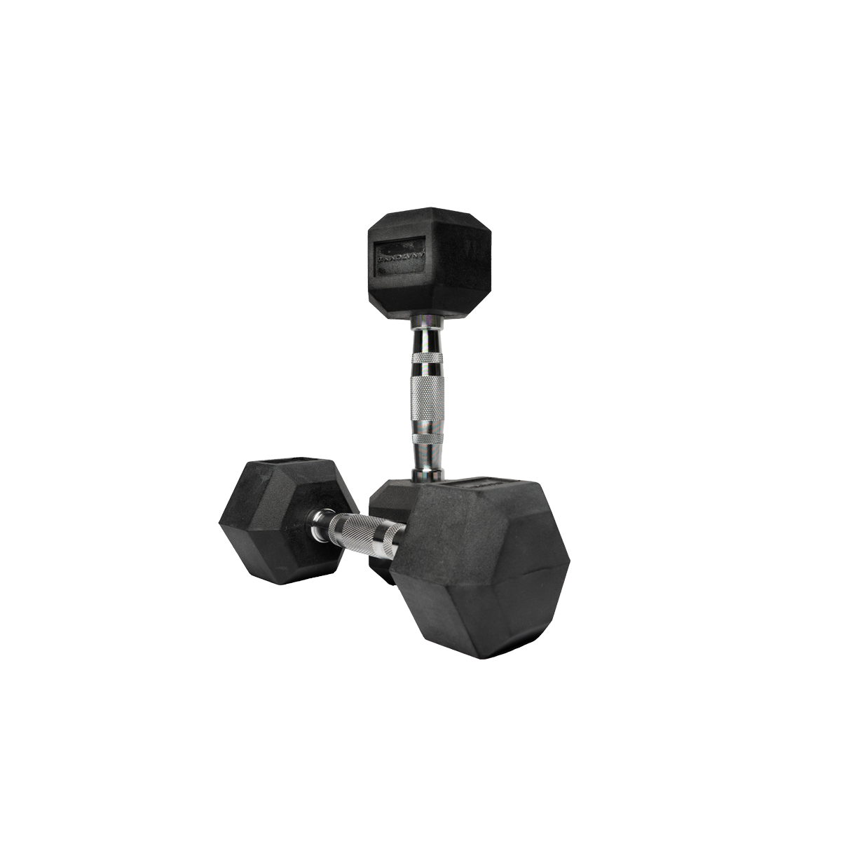 Anatomy Hex rubber coated dumbbell – Anatomy Fitness Co