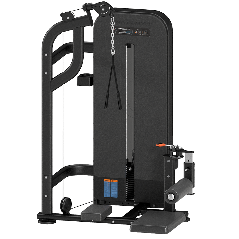 Standing Ab Crunch Machine vs. Seated Ab Machine: Which Is Better for ...