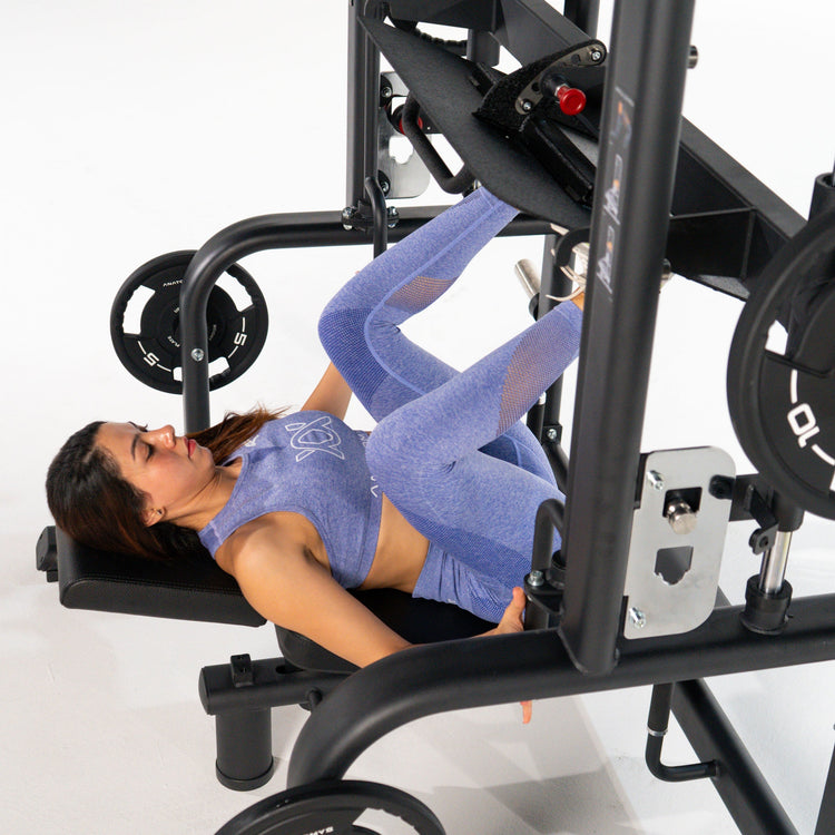 Anatomy Vertical Leg Press (Plate Loaded): A Practical Guide for Serio ...