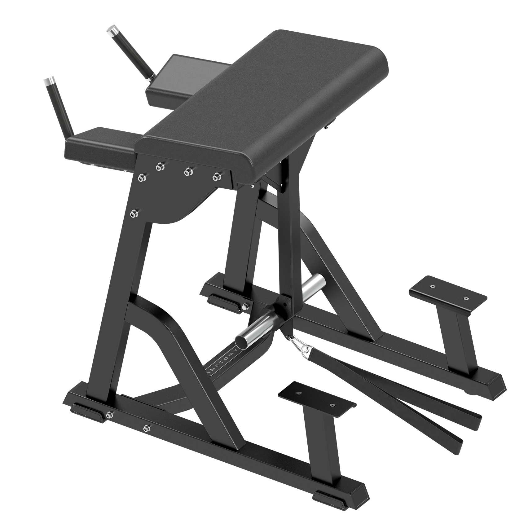 TORGYN REVERSE HYPER – Anatomy Fitness Co