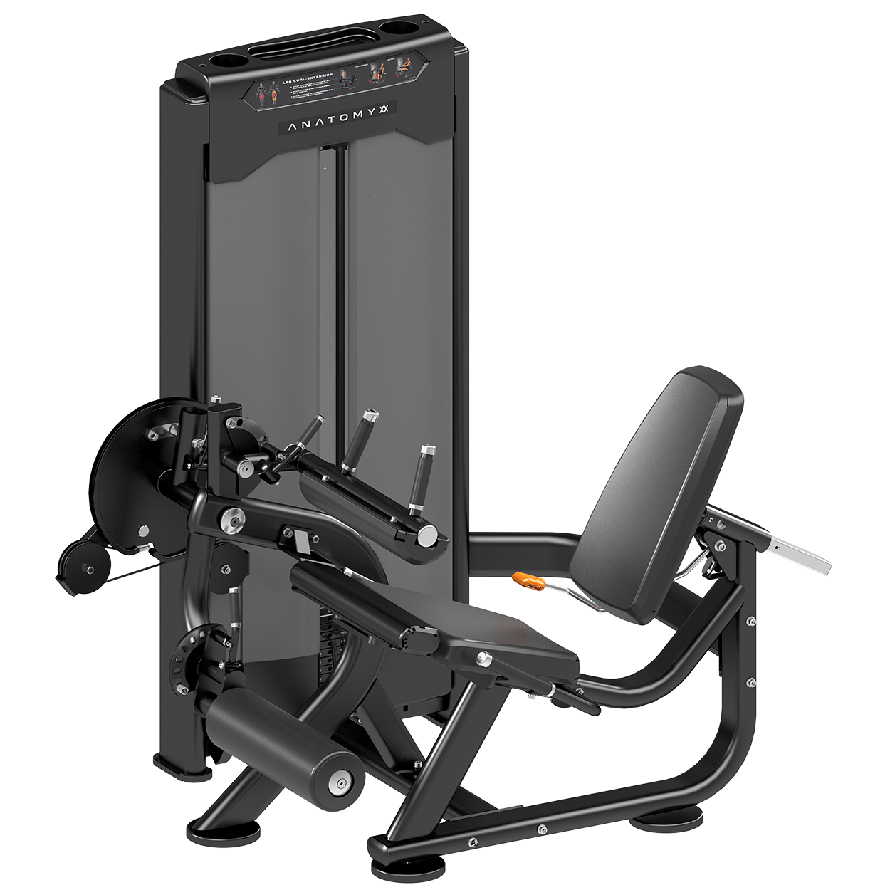 Anatomy Leg Curl/Extension - Pinloaded – Anatomy Fitness Co