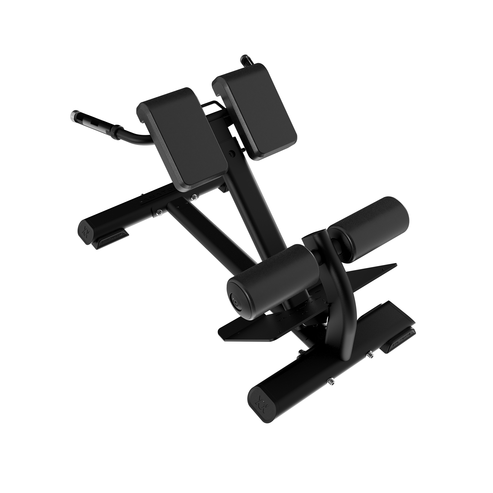 Back Extension – Anatomy Fitness Co