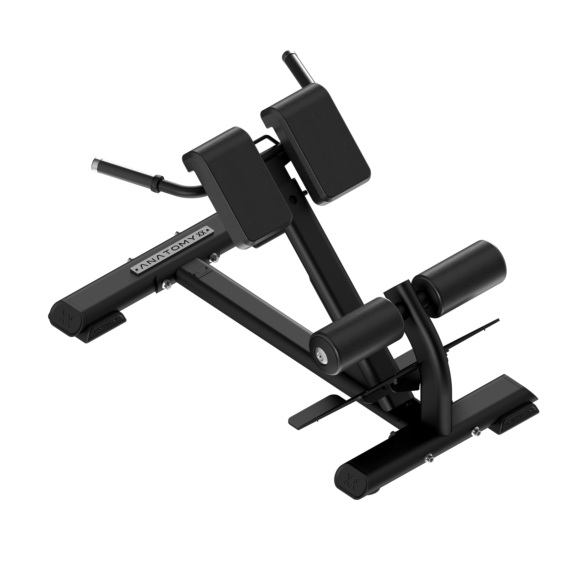 Back Extension – Anatomy Fitness Co