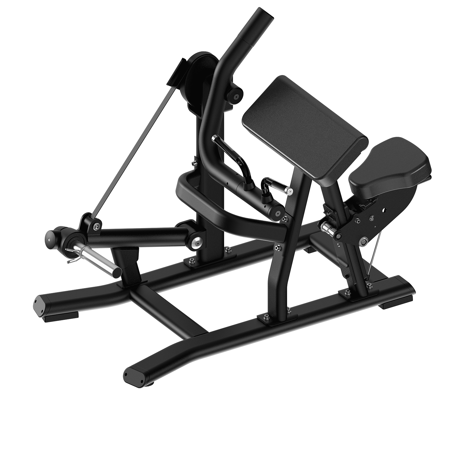 TORGYN BICEPS CURL – Anatomy Fitness Co