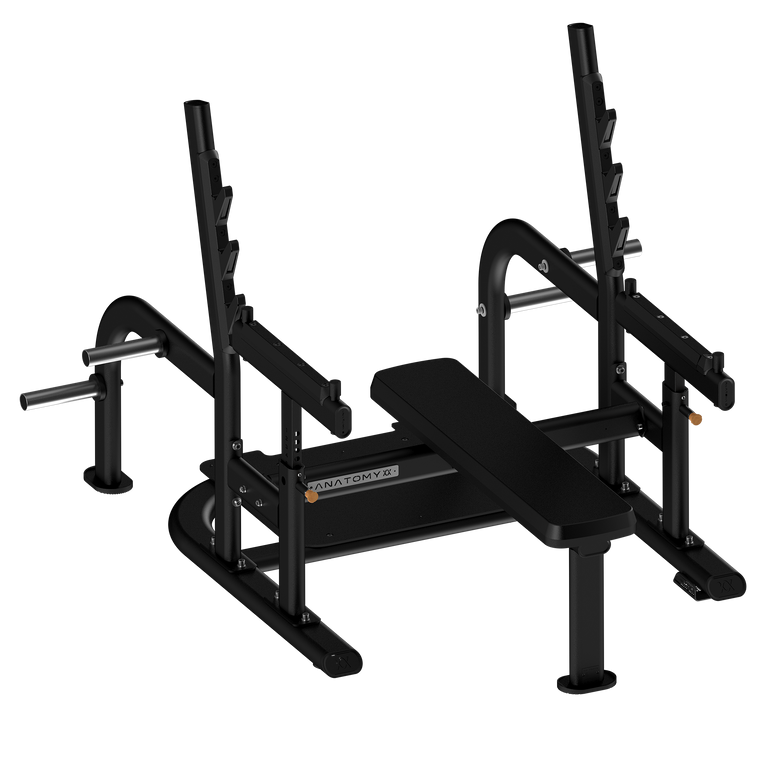 Anatomy Bench – Anatomy Fitness Co