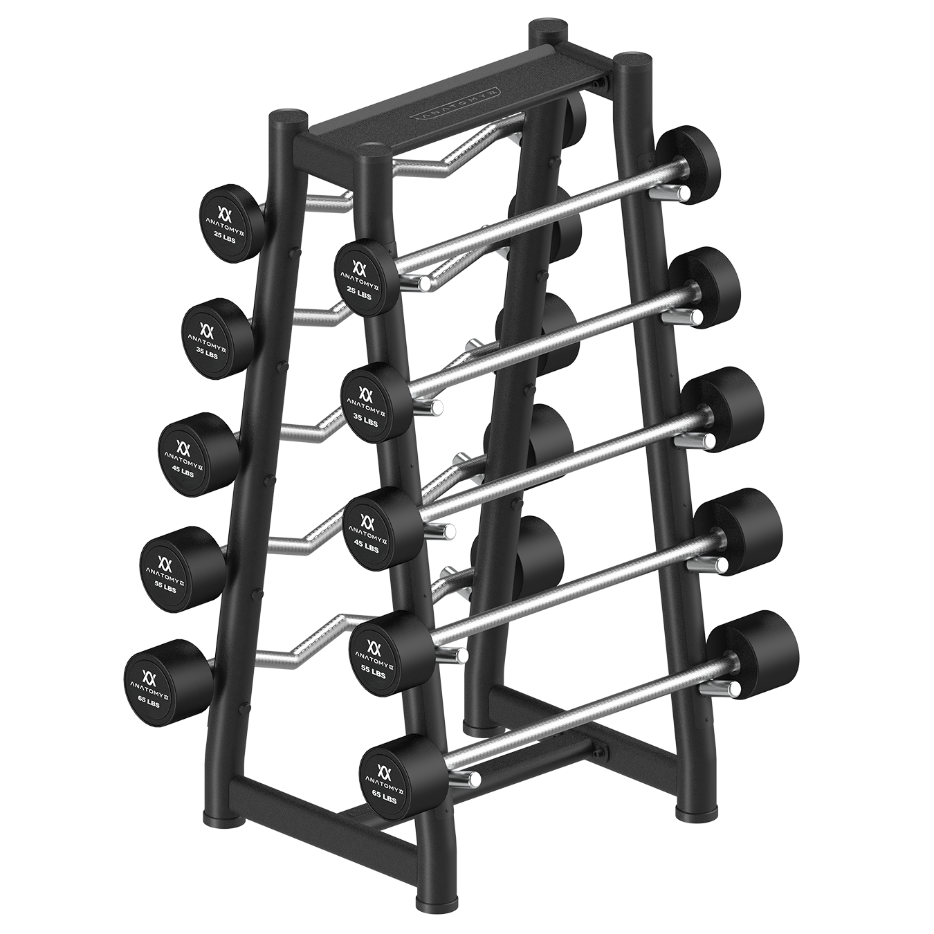 Fixed Curl & Straight Barbell Set with Rack – Anatomy Fitness Co