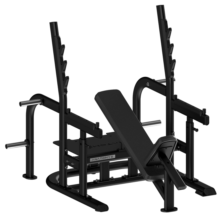 Anatomy Bench – Anatomy Fitness Co