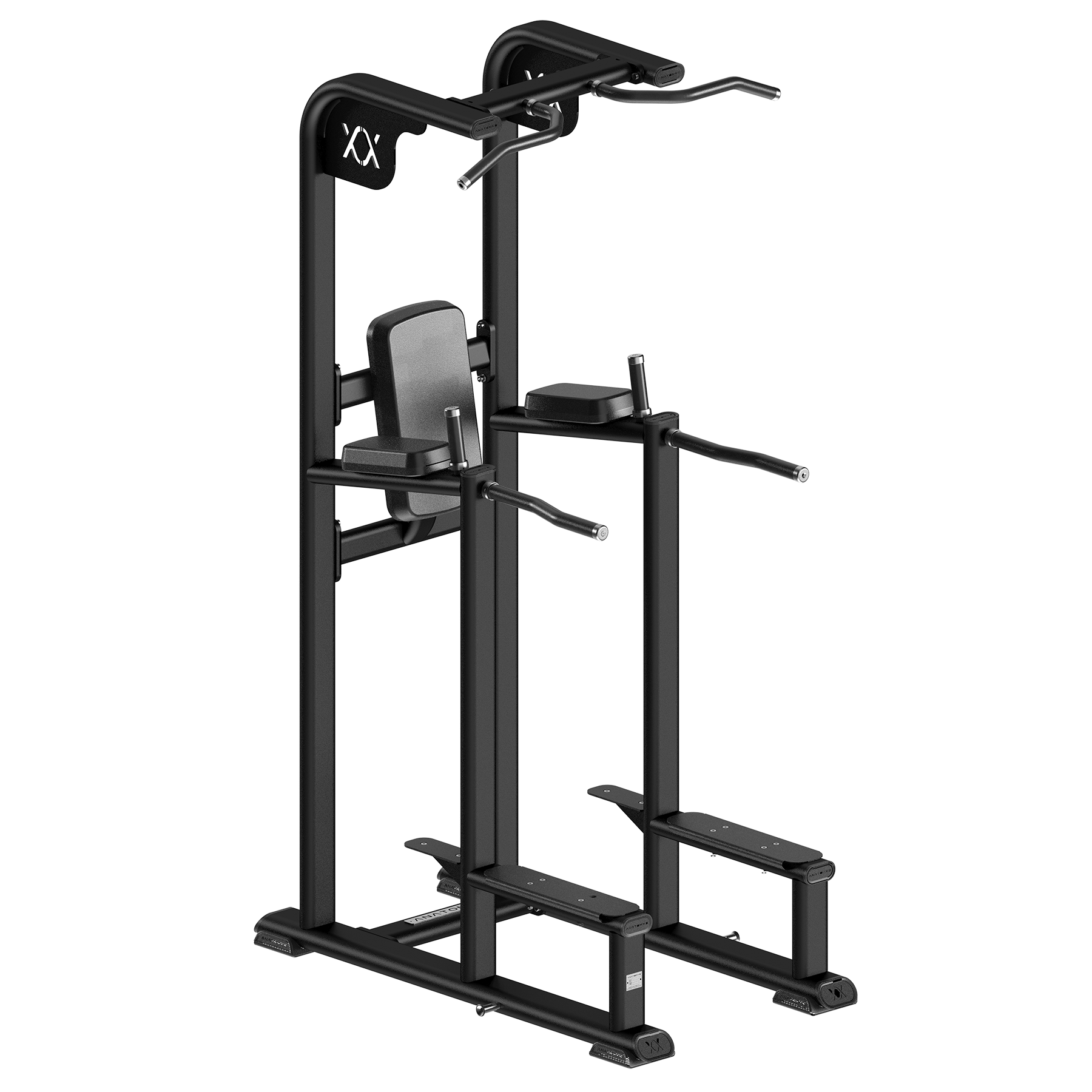 Anatomy Power Tower/ Chin / Dip – Anatomy Fitness Co