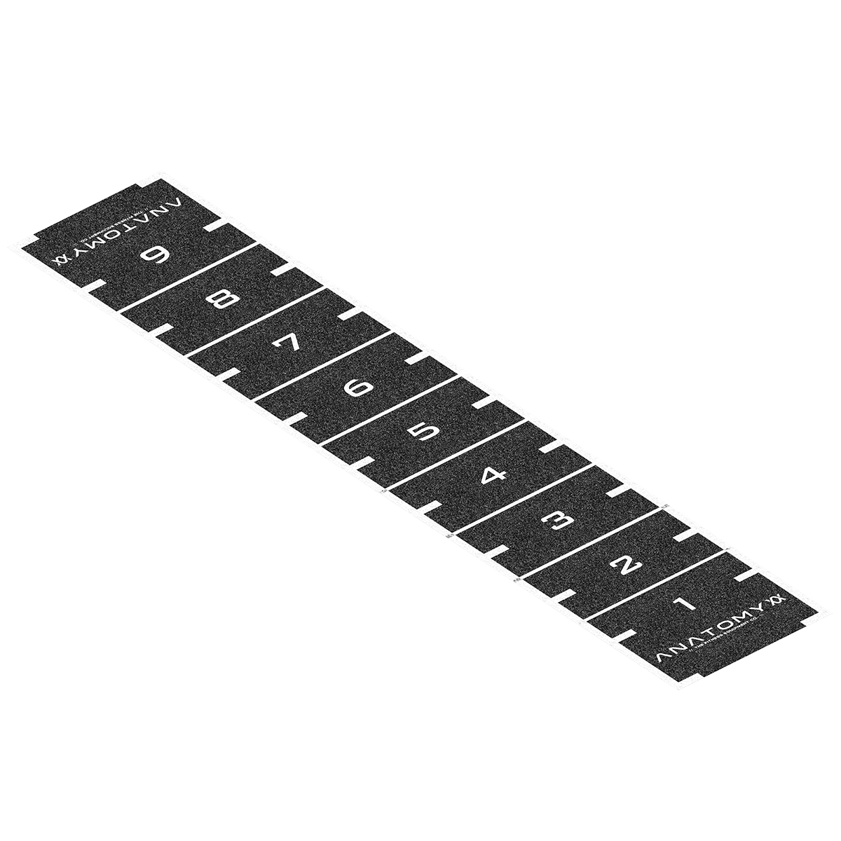 Sled Track – Anatomy Fitness Co