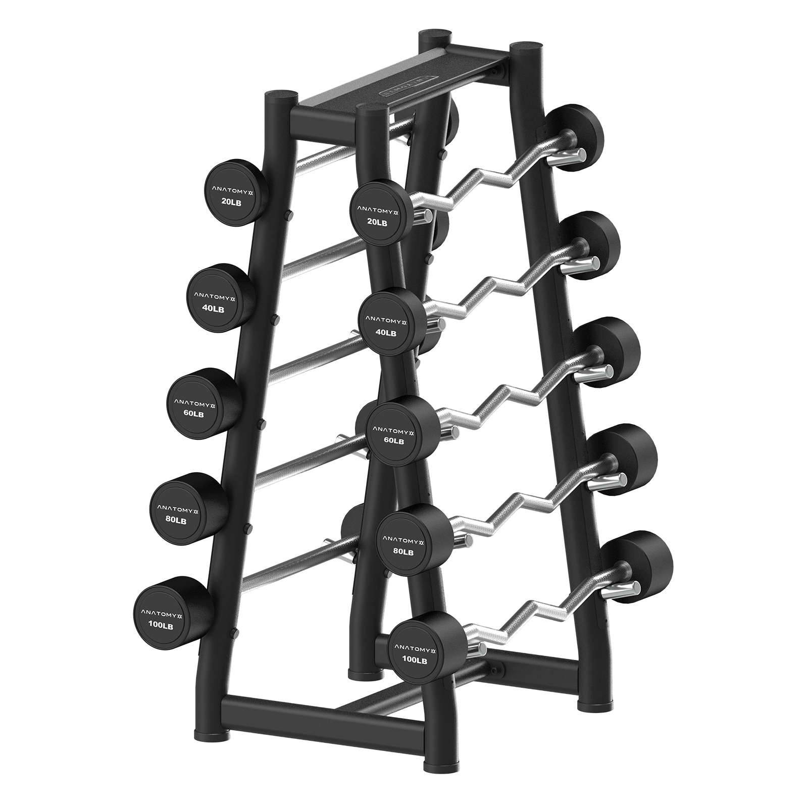 Fixed Curl & Straight Barbell Set with Rack – Anatomy Fitness Co