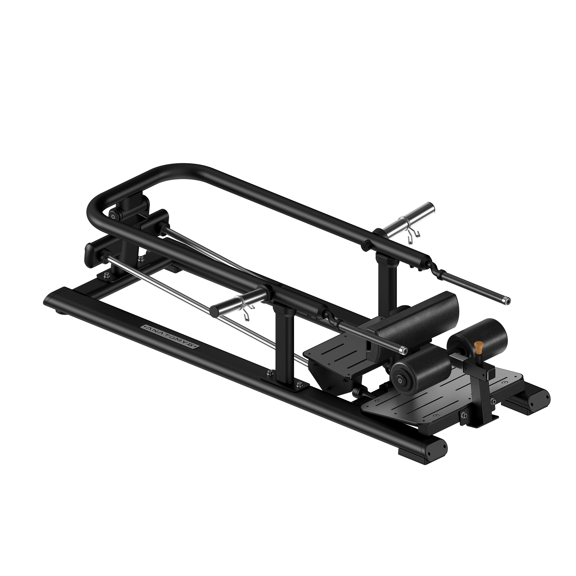 TORGYN SPLIT SQUAT – Anatomy Fitness Co