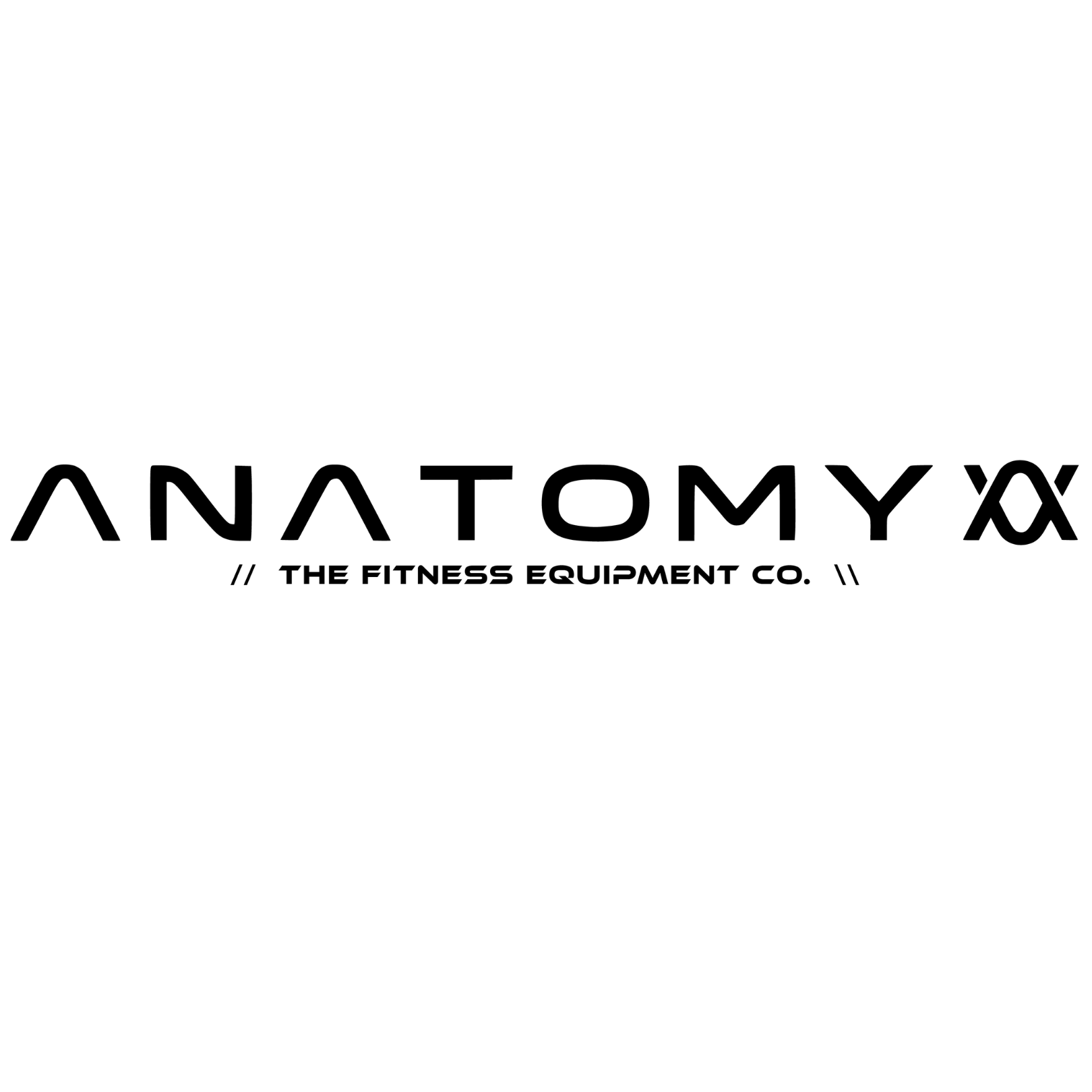 Anatomy Fitness: The Best Commercial Gym Equipment Brand for Your Gym ...