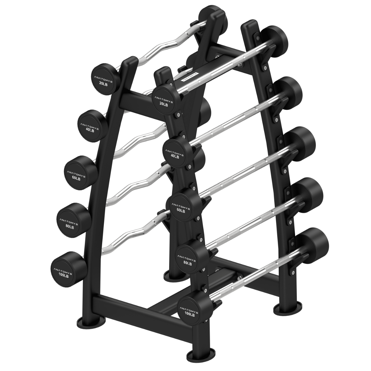 Fixed Curl & Straight Barbell Set with Rack – Anatomy Fitness Co