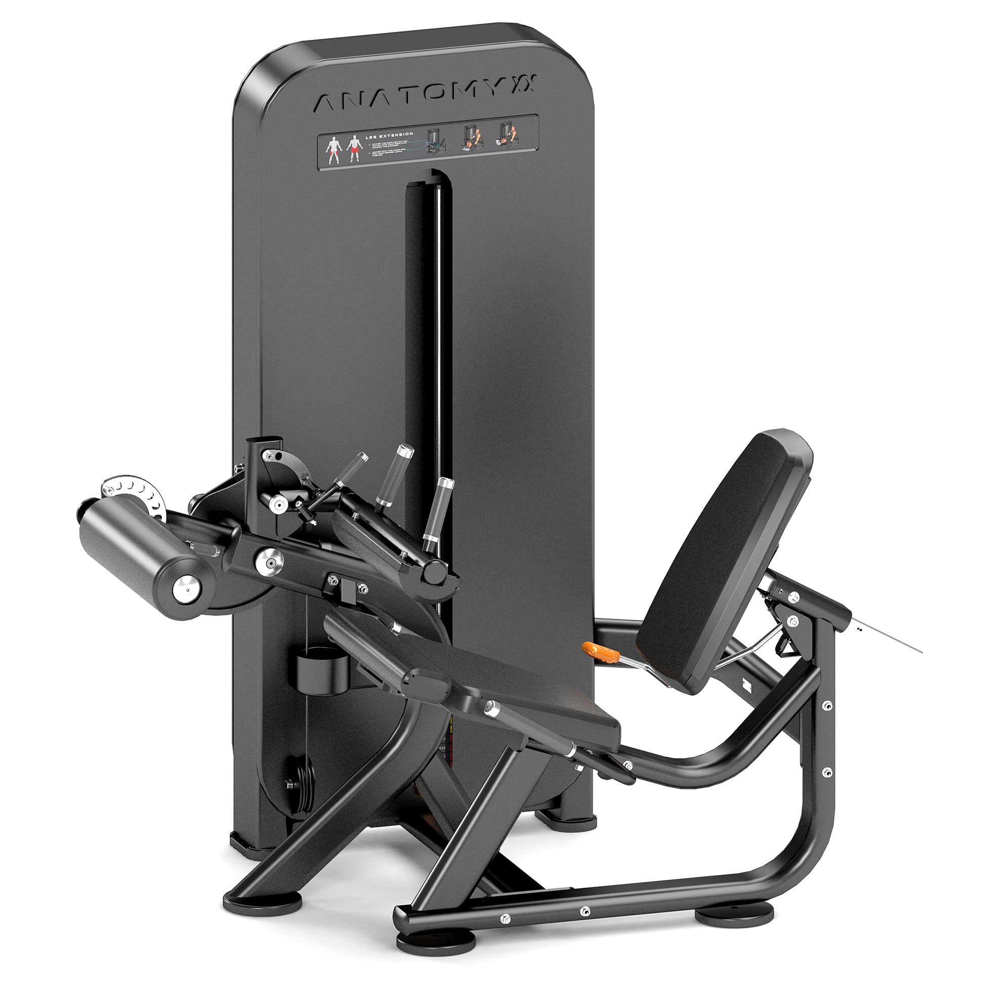 Anatomy Seated Hamstring Curl - Pinloaded – Anatomy Fitness Co